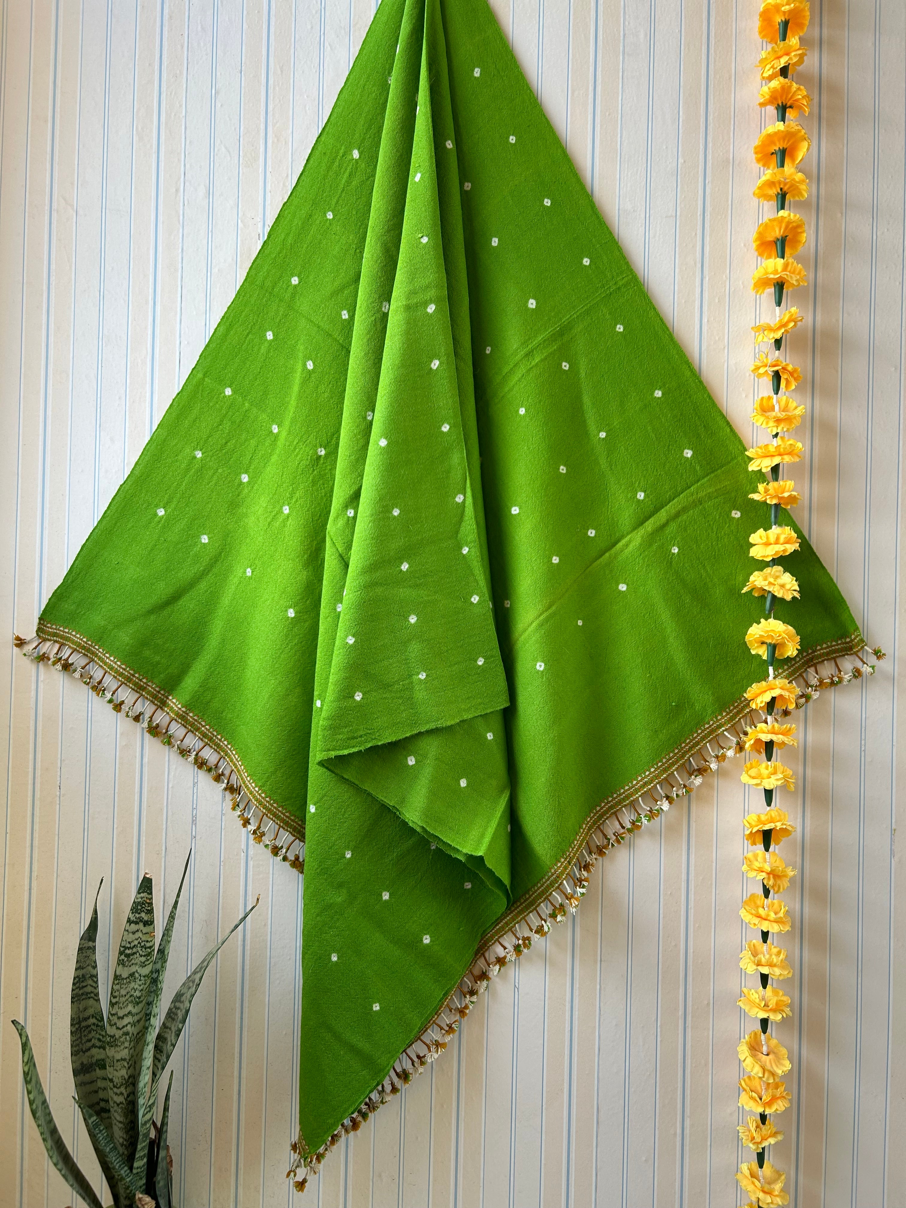 Top of the jungle: Handloom Marino Wool bandni shawl – MYPOSHAAKH